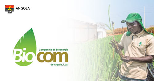 Recrutamento Biocom - Companhia de Bioenergia de AngolaRecrutamento África