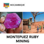 Recrutamento Montepuez Ruby Mining MoçambiqueRecrutamento África
