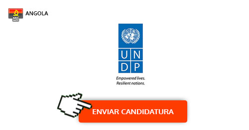 Recrutamento UNDP Angola